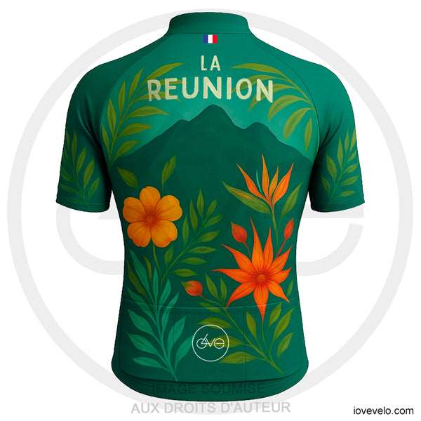 un maillot cycliste avec un design, des couleurs et un graphisme ...