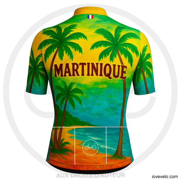 un maillot cycliste avec un design, des couleurs et un graphisme ...
