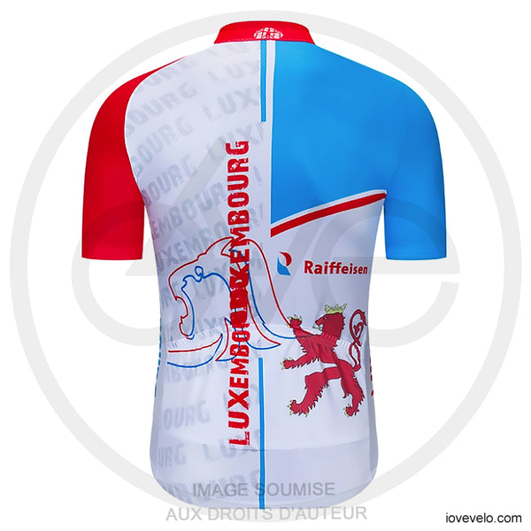 un maillot cycliste avec un design, des couleurs et un graphisme ...